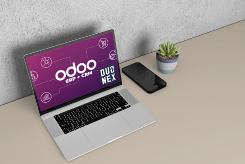 ¿Para qué sirve Odoo? Descubre las funciones de este software de gestión empresarial - Duonex